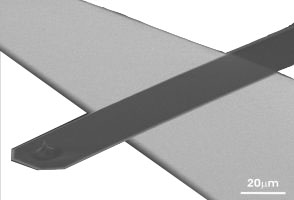 Afm Accessories-Nanosensors-Afm Tips - Buy Discount Afm Accessories ...